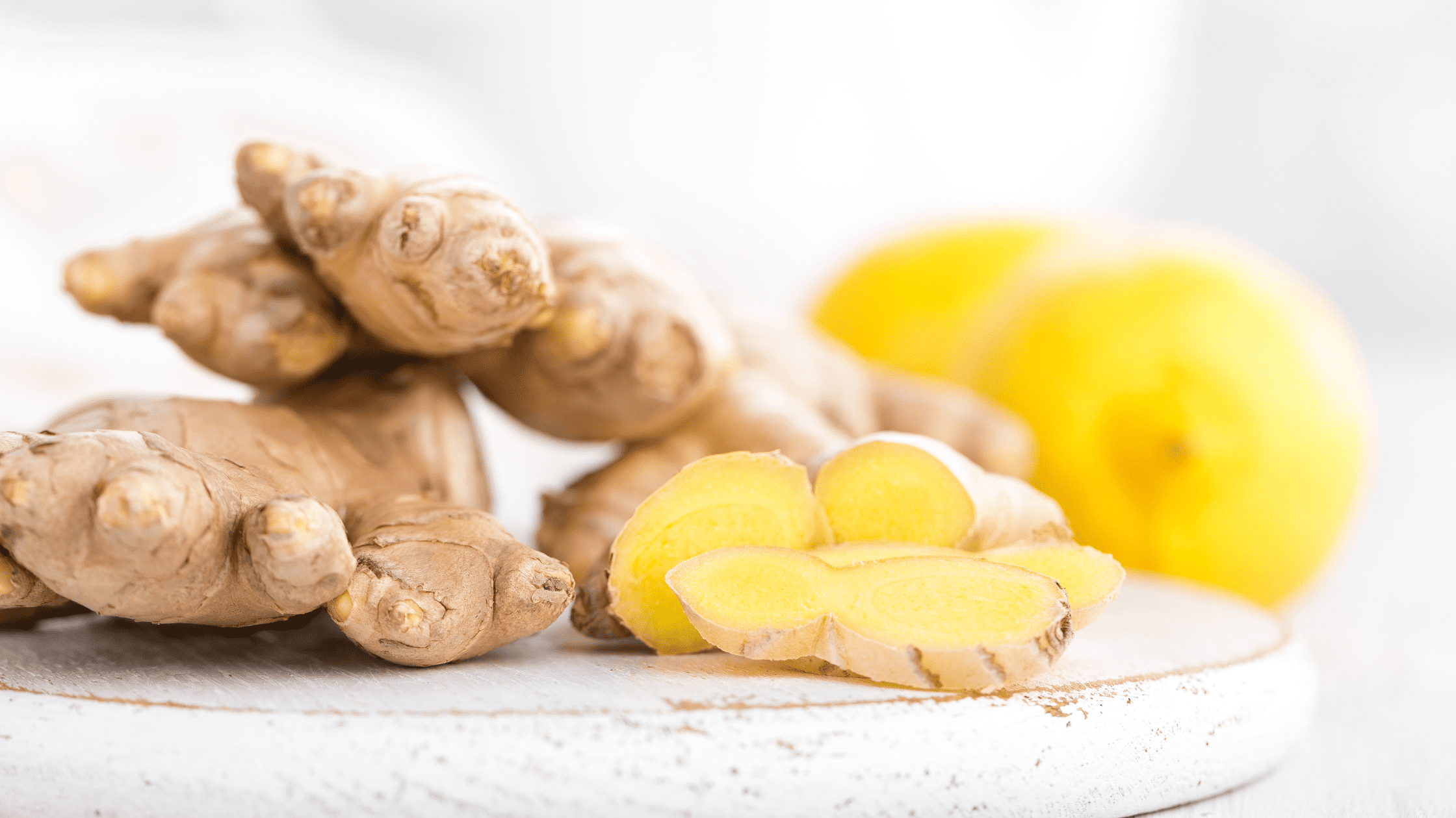 Learn to Make A Ginger Bug With Your Kids! | Living Ancestrally